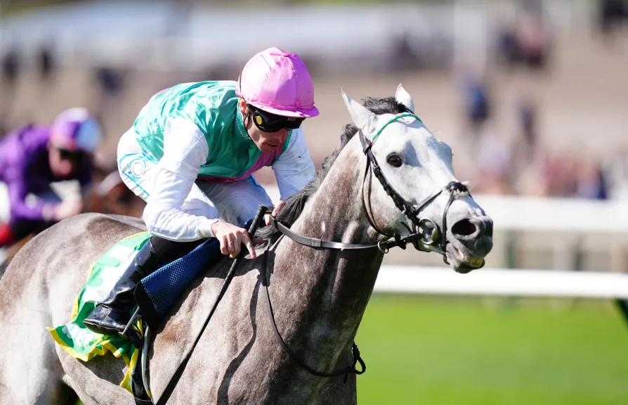 Field Of Gold tops 12 seeking Irish Guineas crown | Morning Star